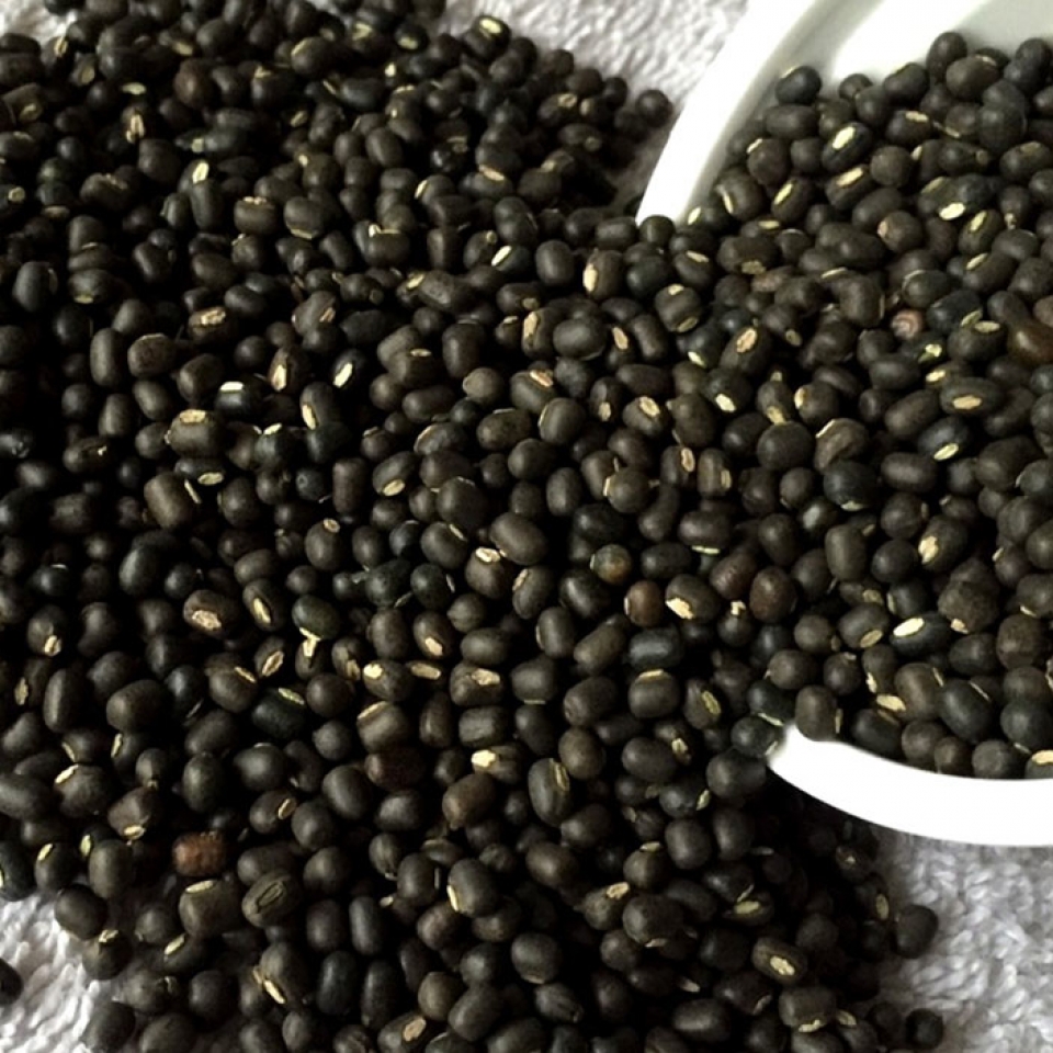 Black matpe beans